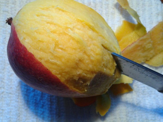 Mango Lassi – dawns-ad-lib.com®